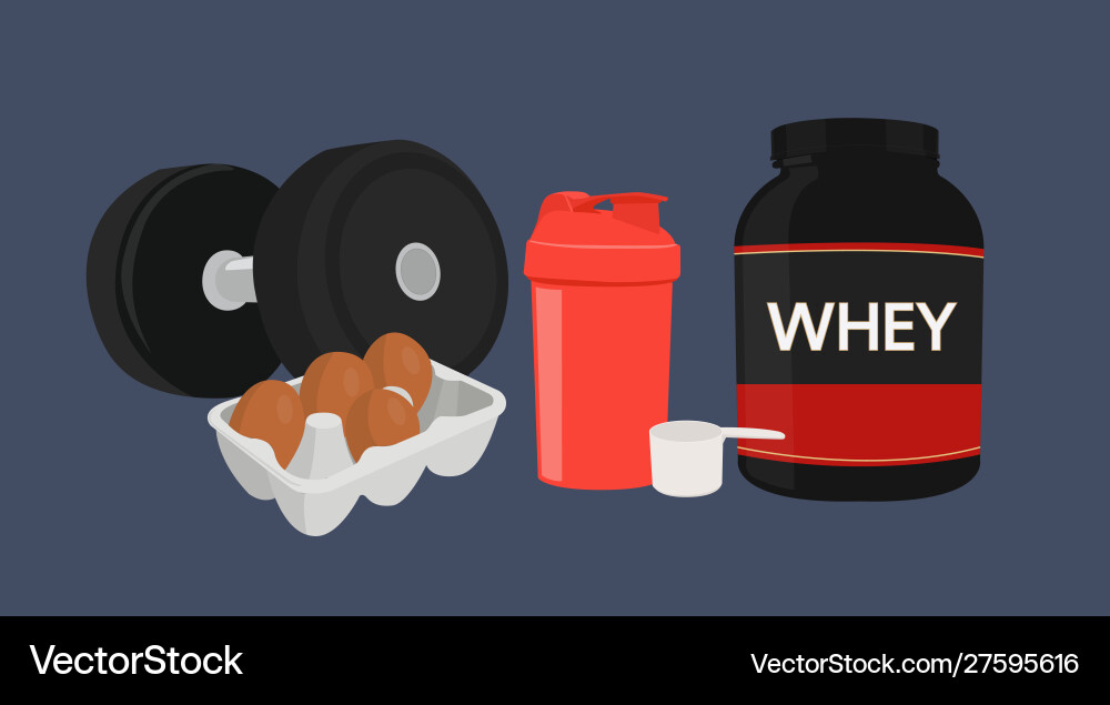 Whey protein bottle a scoop shaker and dumbb Vector Image