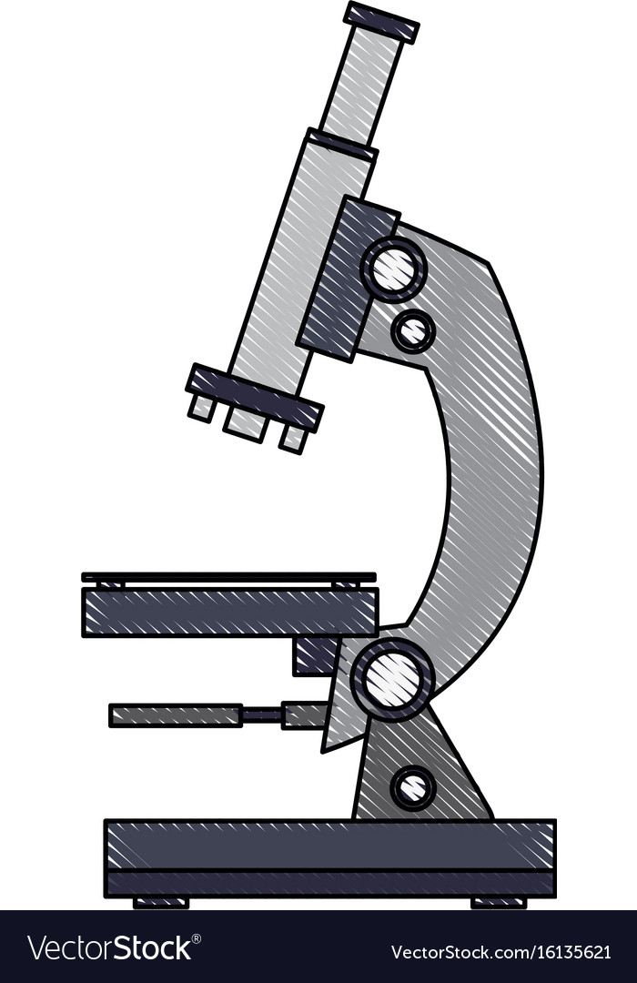 School microscope study science laboratory Vector Image
