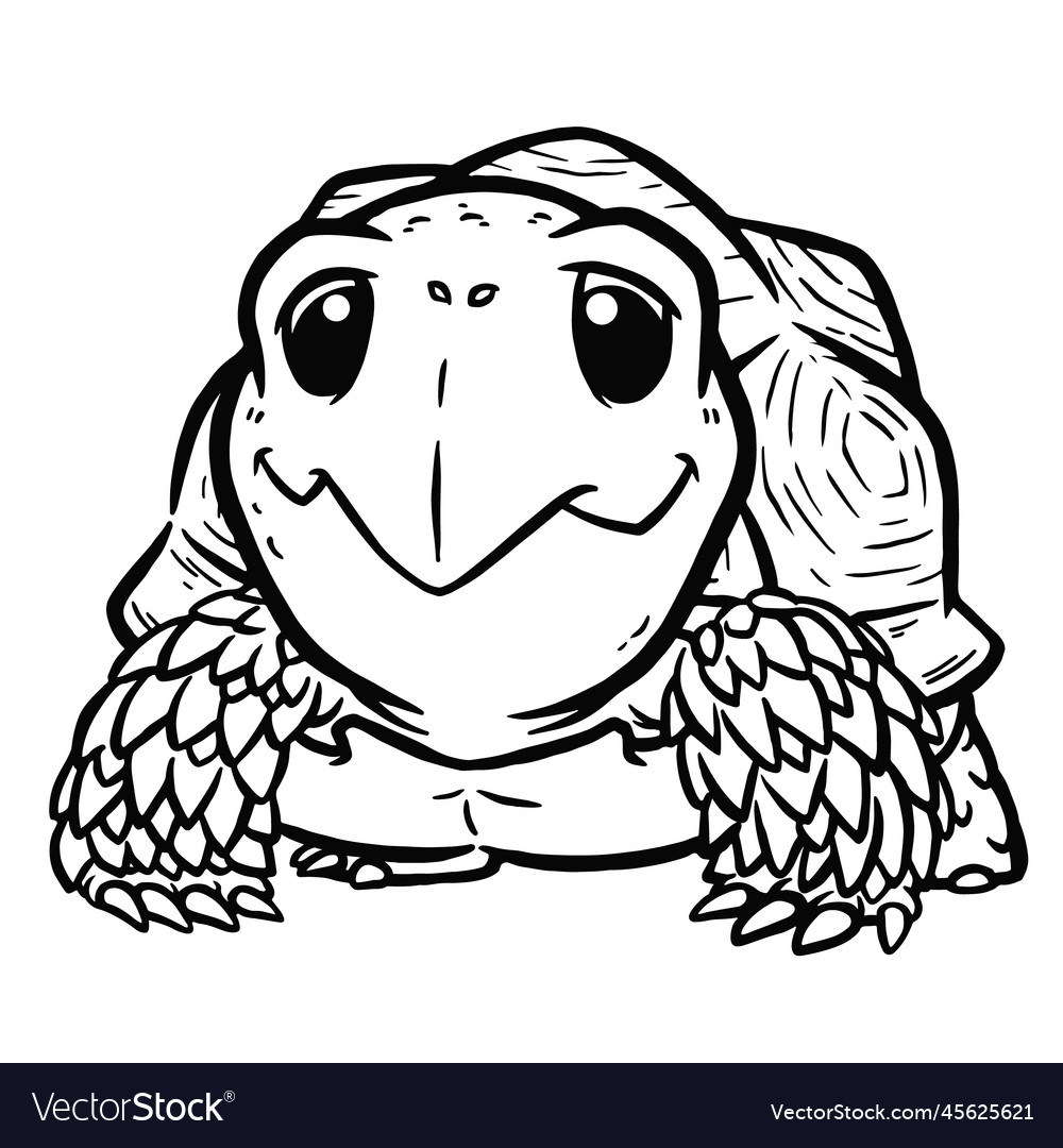 Tortoise Royalty Free Vector Image - VectorStock