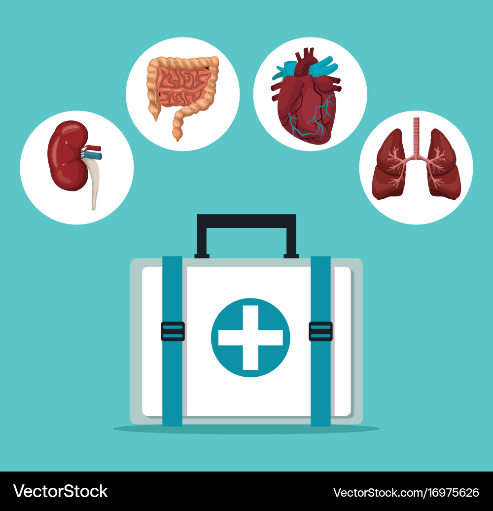 Color background with first aid box icons Vector Image