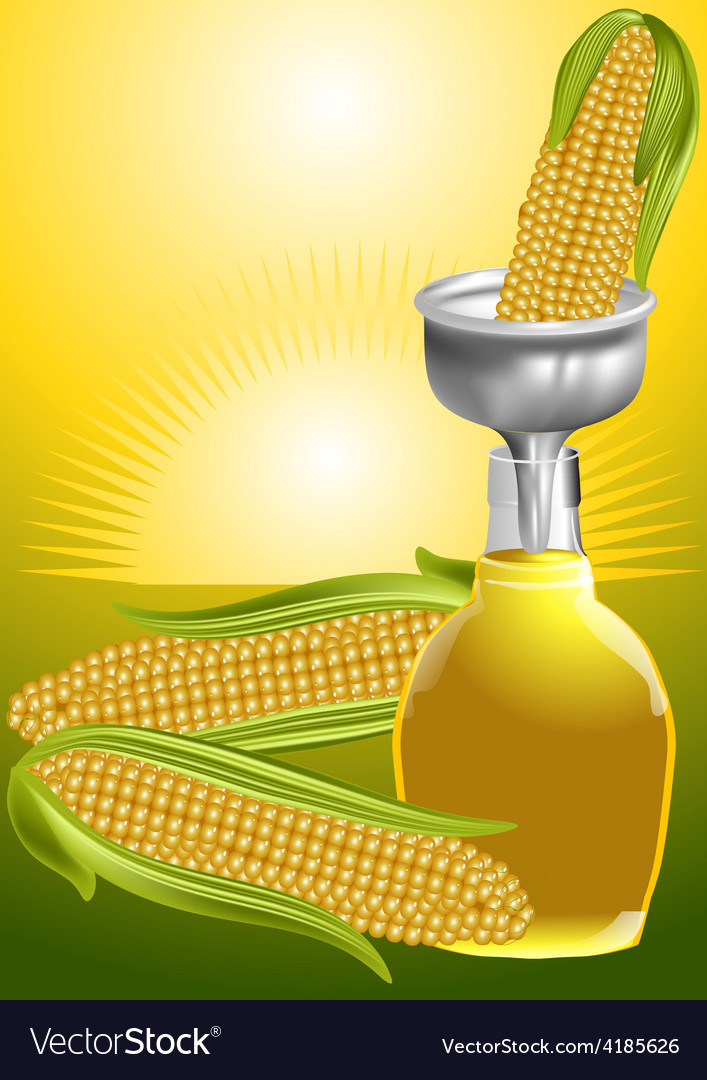 Corn syrup Royalty Free Vector Image - VectorStock