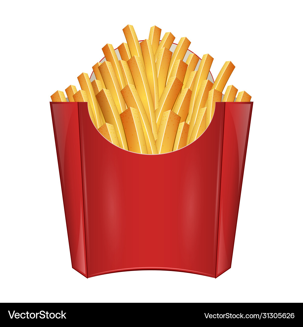 Potato fry iconrealistic icon Royalty Free Vector Image