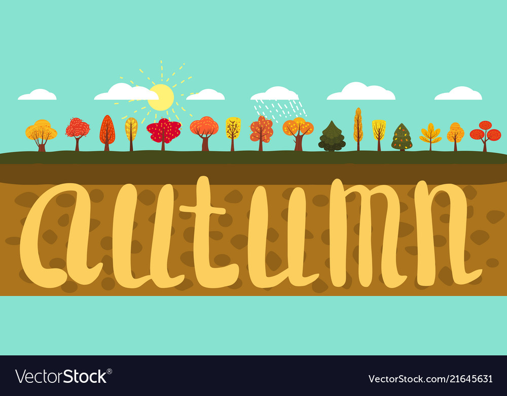 Simple landscape set autumn trees different Vector Image
