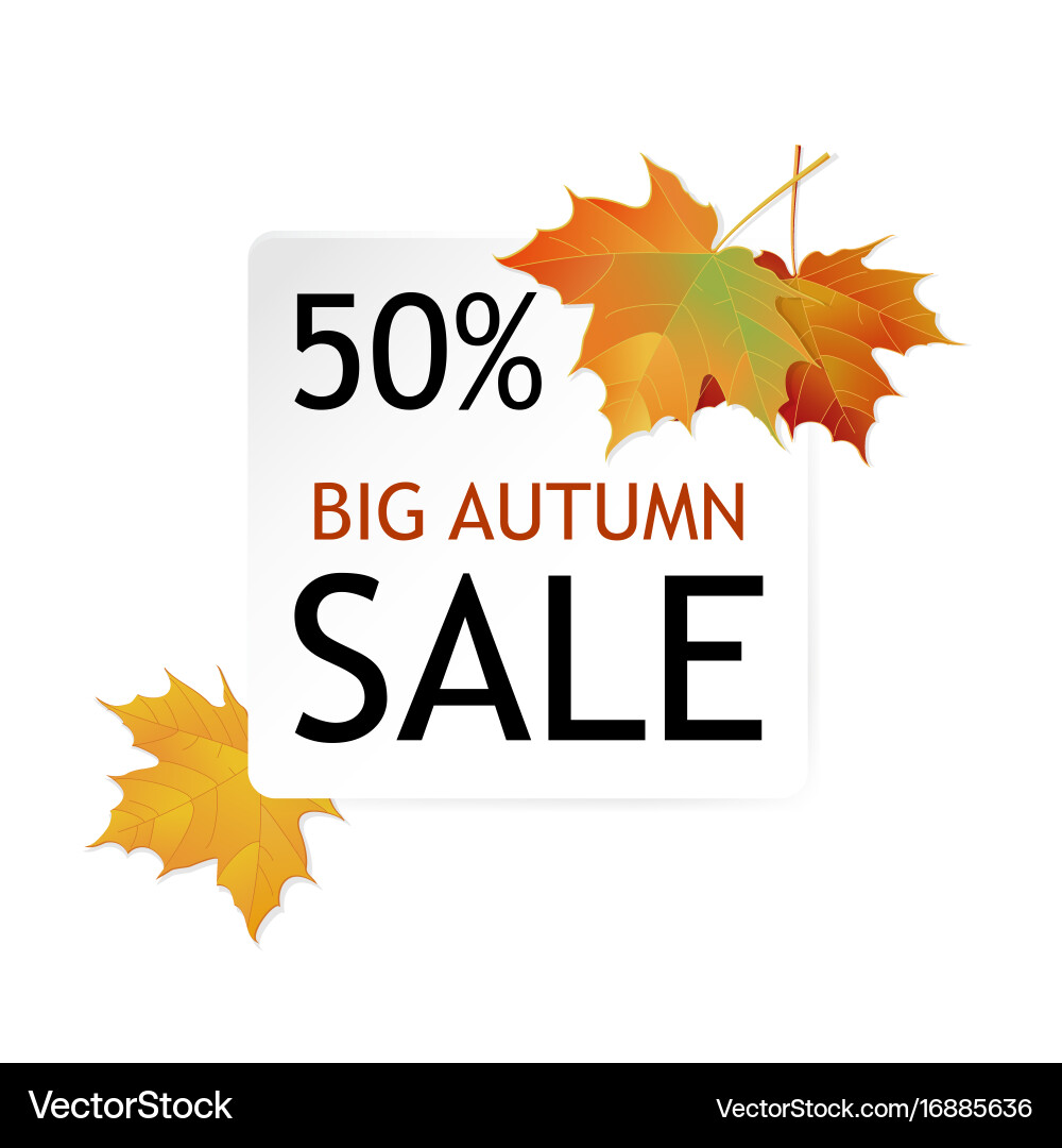 Big autumn sale design Royalty Free Vector Image