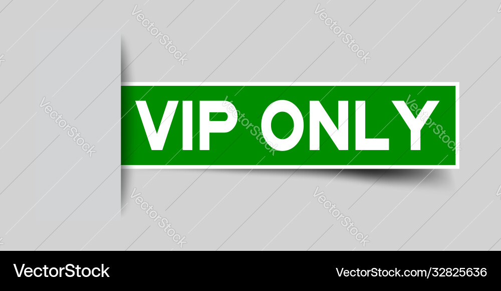 Label square green sticker in word vip only Vector Image