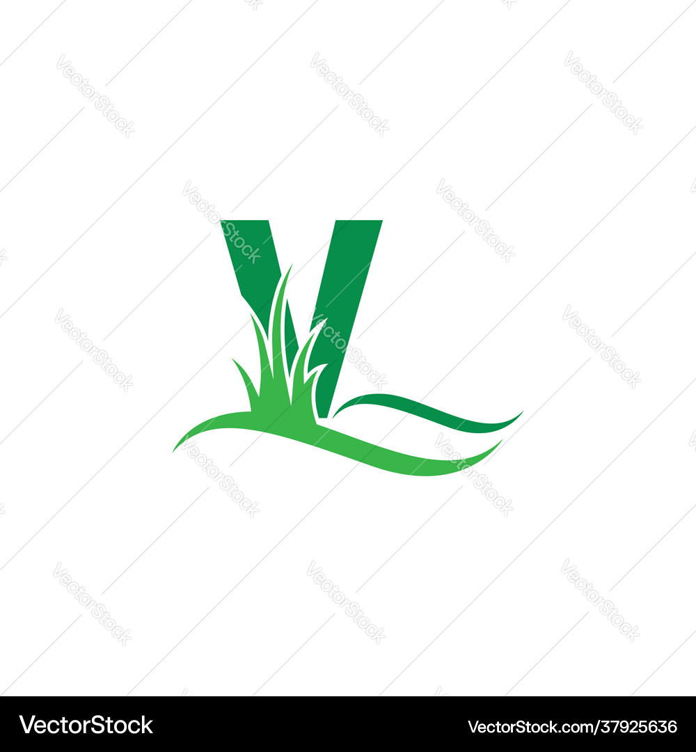 Letter v behind a green grass icon logo design Vector Image