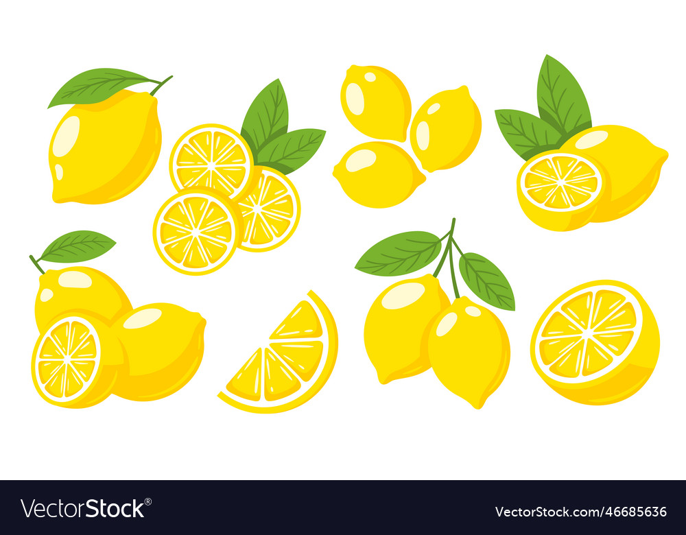 Yellow lemons isolated on white background Vector Image