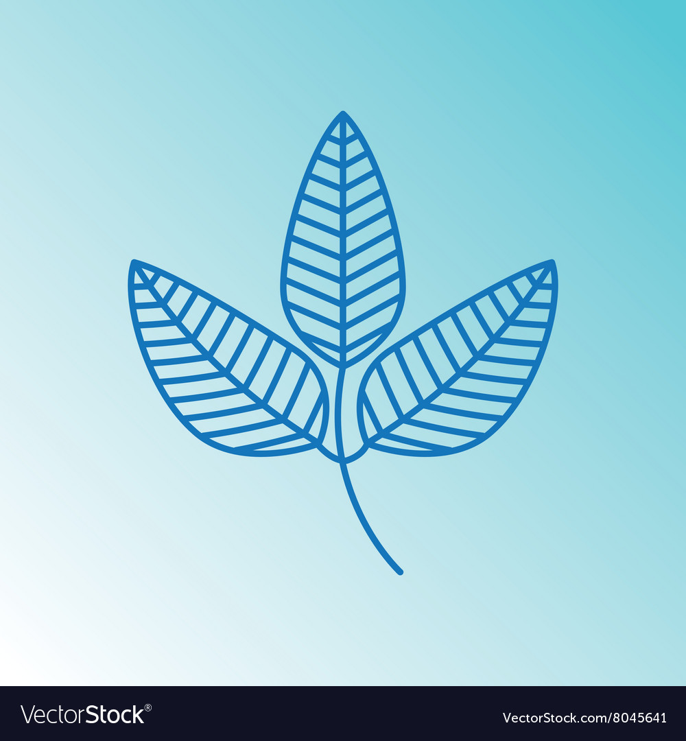Leaf icon design Royalty Free Vector Image - VectorStock