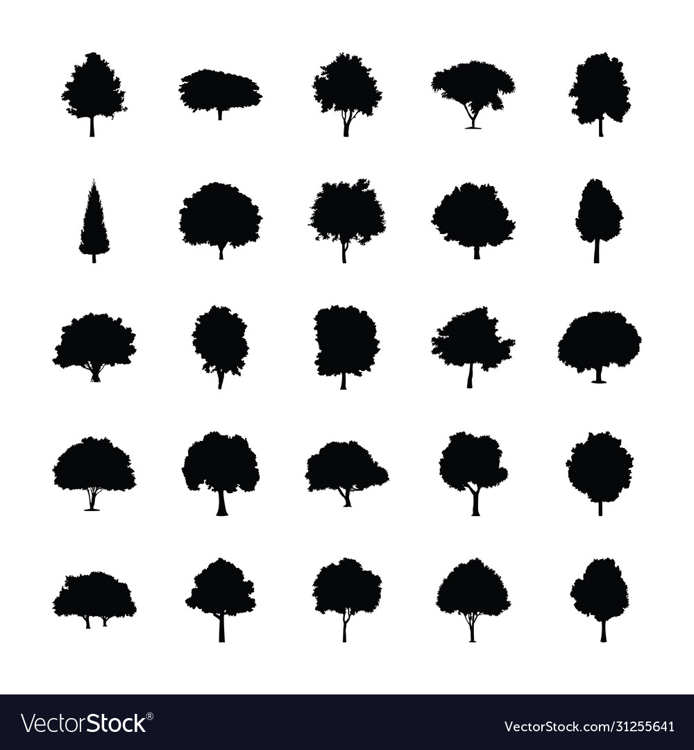 Trees solid icons Royalty Free Vector Image - VectorStock