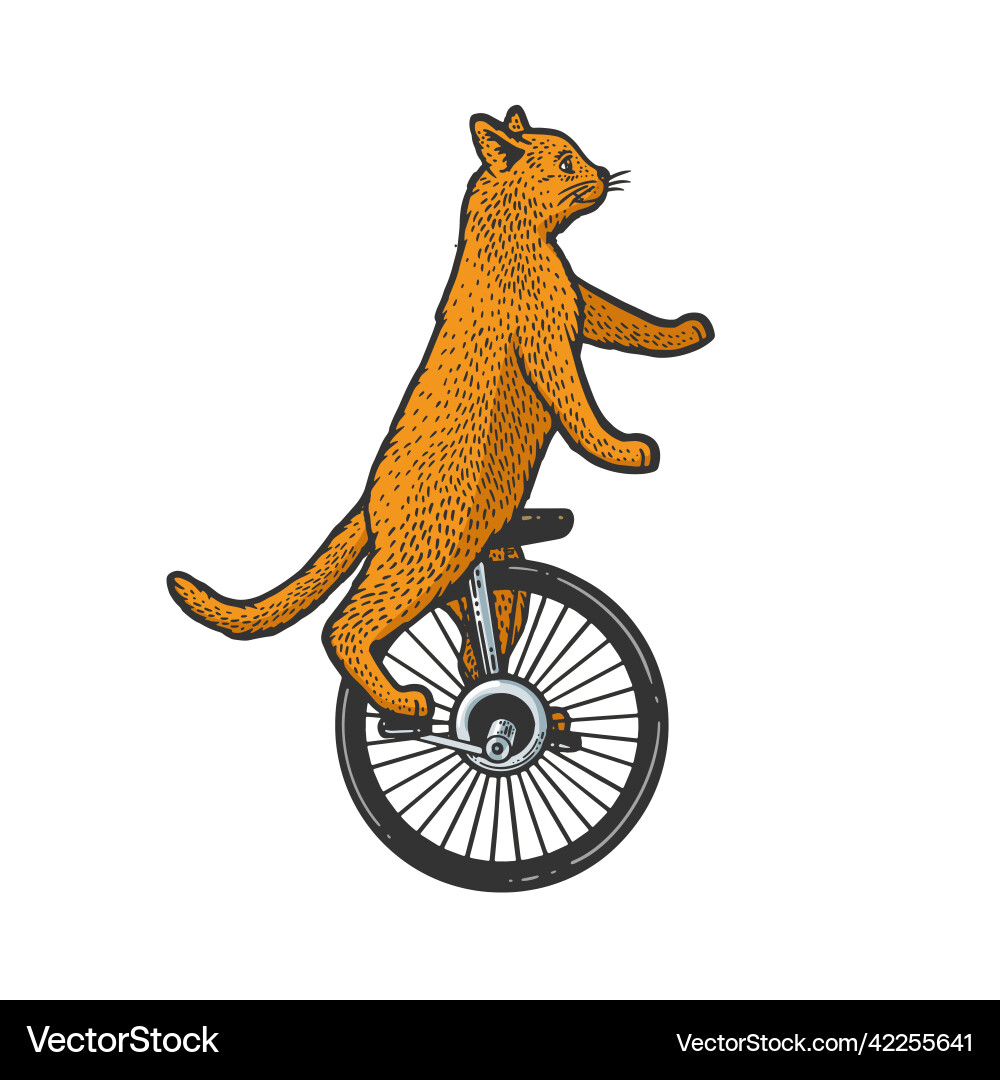 Unicycle Sketch