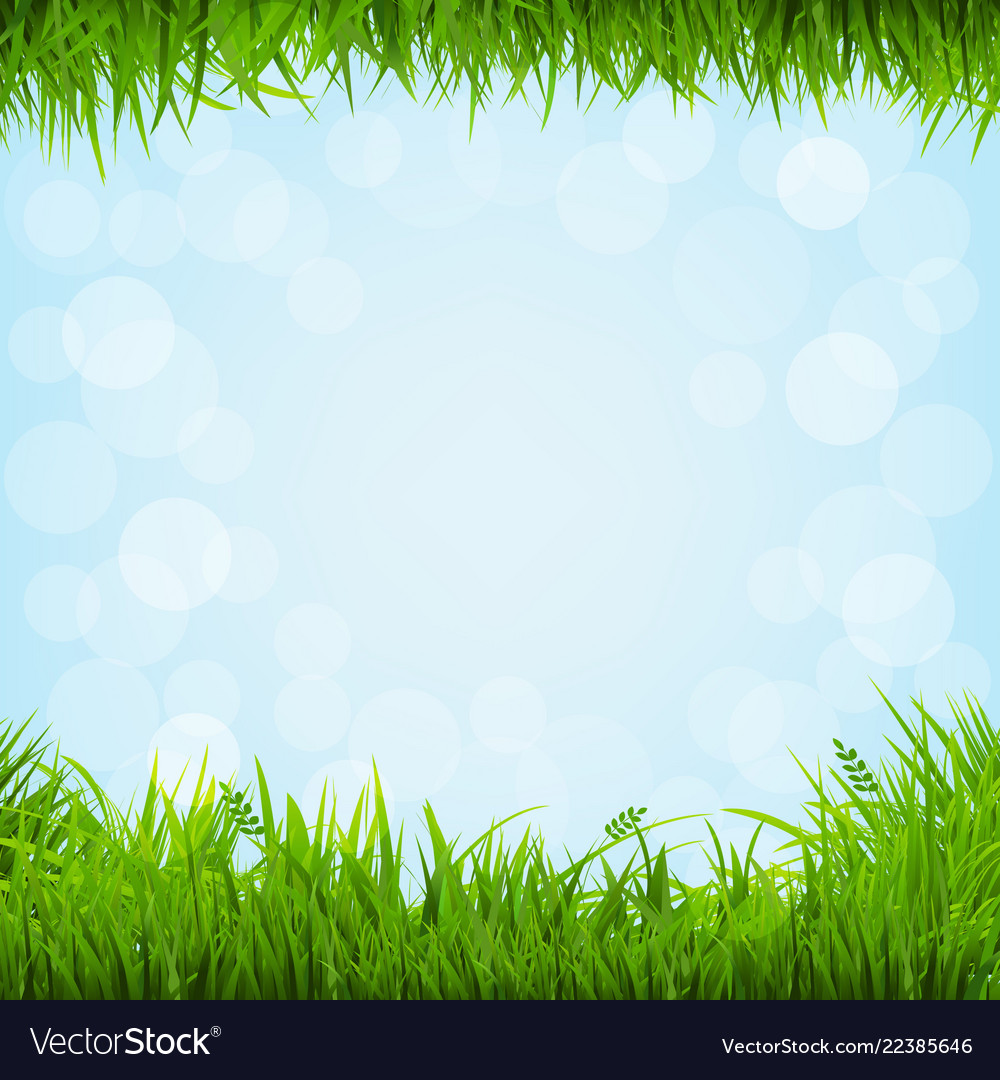 Grass borders Royalty Free Vector Image - VectorStock
