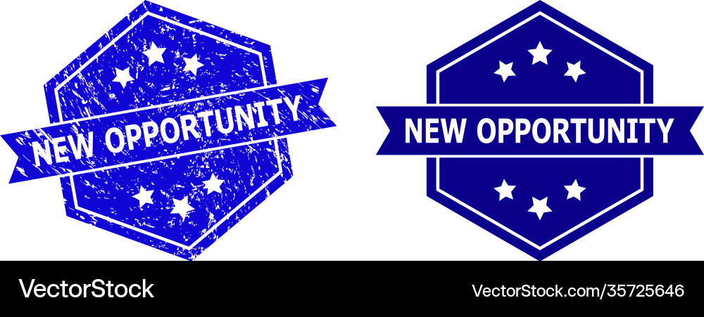 Hexagonal new opportunity stamp with grunged style