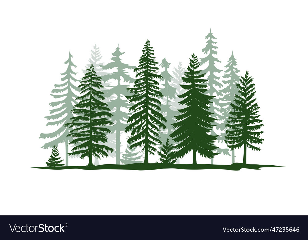 Pine trees silhouette Royalty Free Vector Image Pine trees silhouette Royalty Free Vector Image