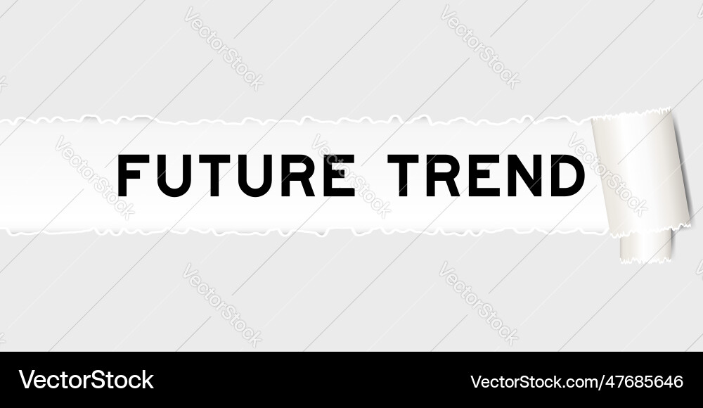 Ripped gray paper background that have word Vector Image