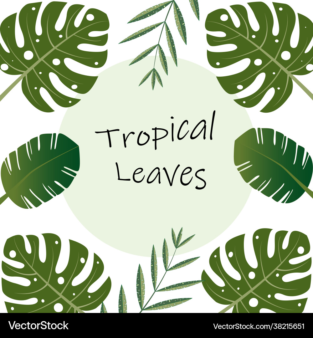 Green tropical palm leaves frame Royalty Free Vector Image
