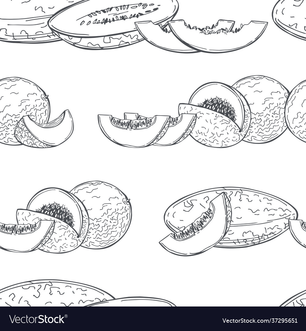 Melon pattern Royalty Free Vector Image - VectorStock
