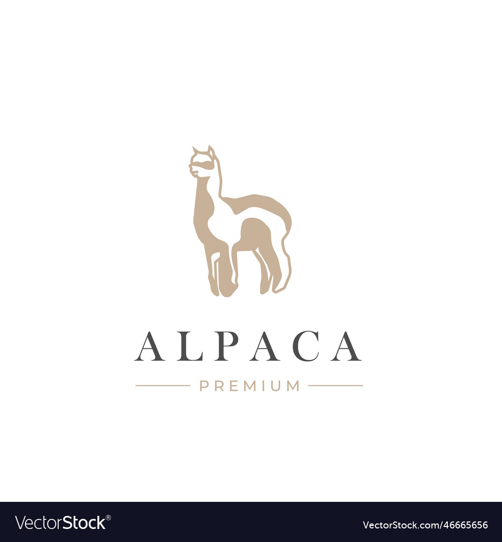 Premium alpaca Royalty Free Vector Image - VectorStock