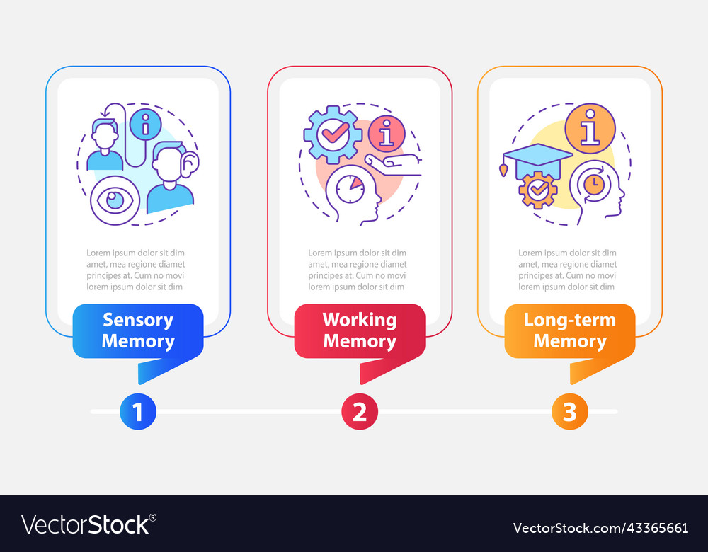 Memory and microlearning rectangle infographic Vector Image