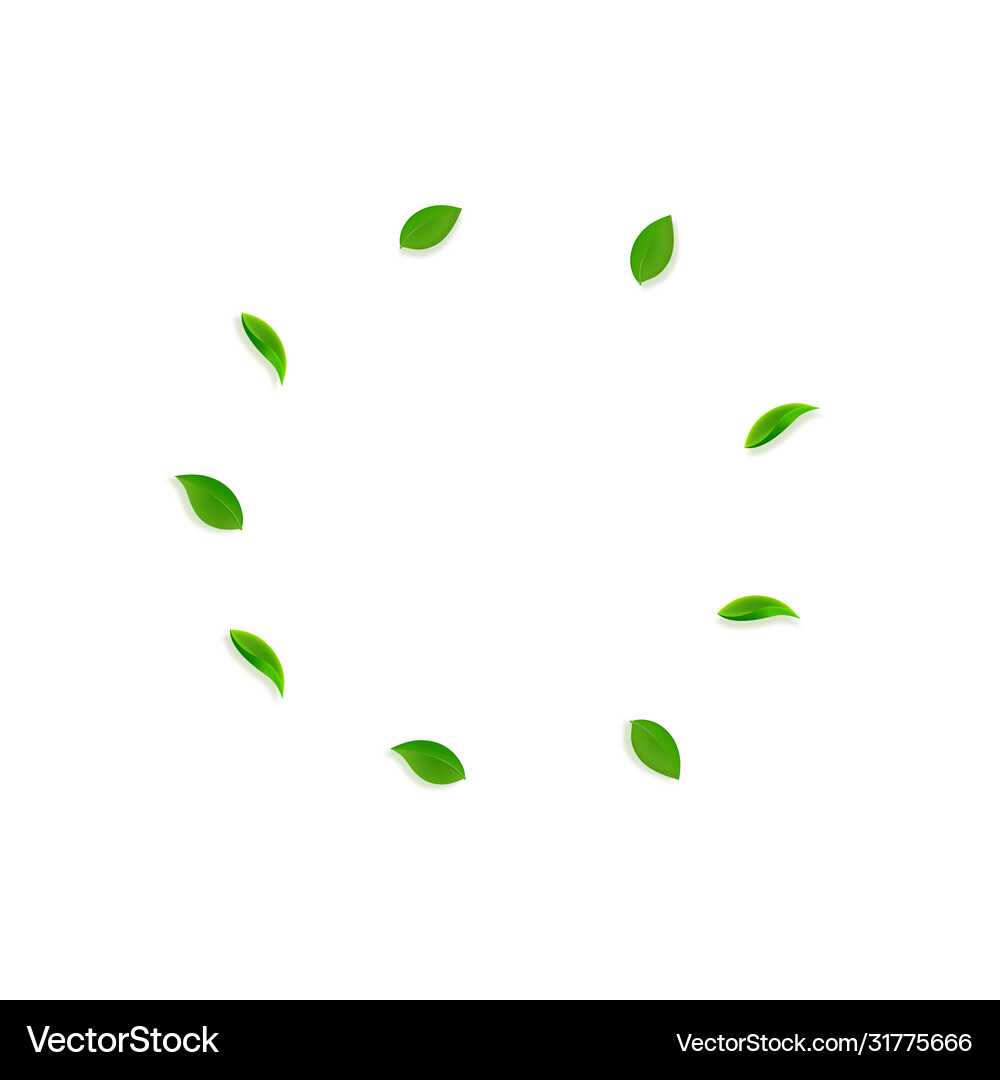 Falling green leaves fresh tea random leaves flyi Vector Image