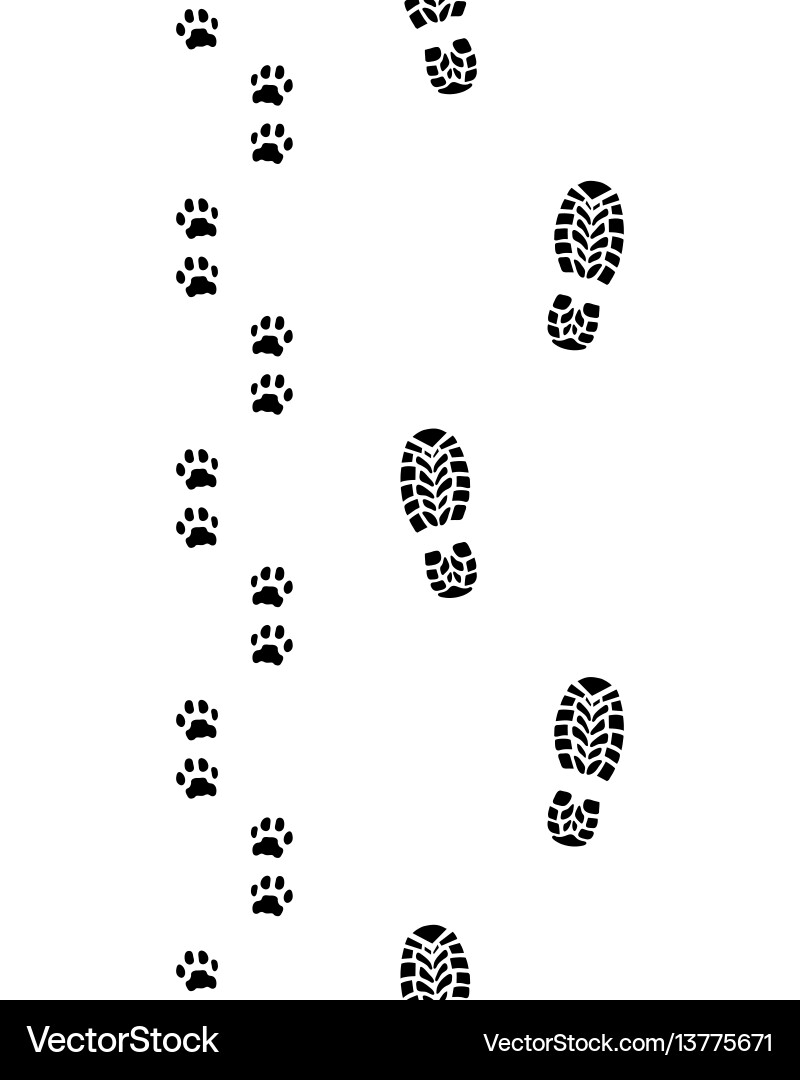 Human feet and dog paws Royalty Free Vector Image