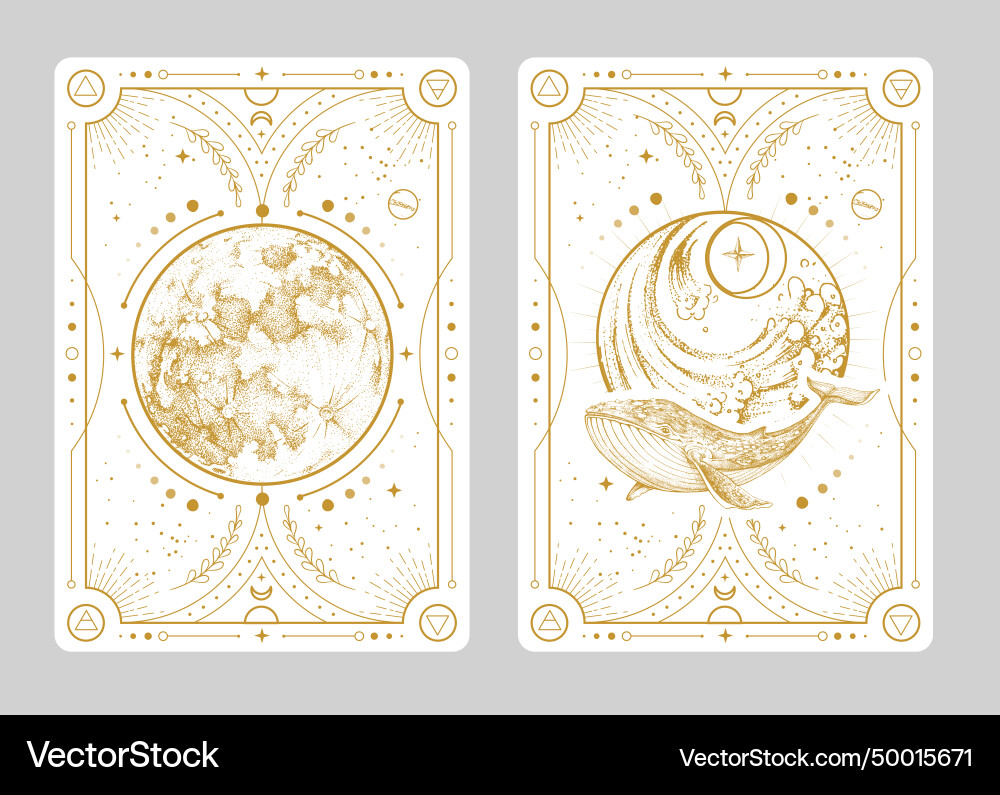 Magic witchcraft cards with full moon and whale Vector Image