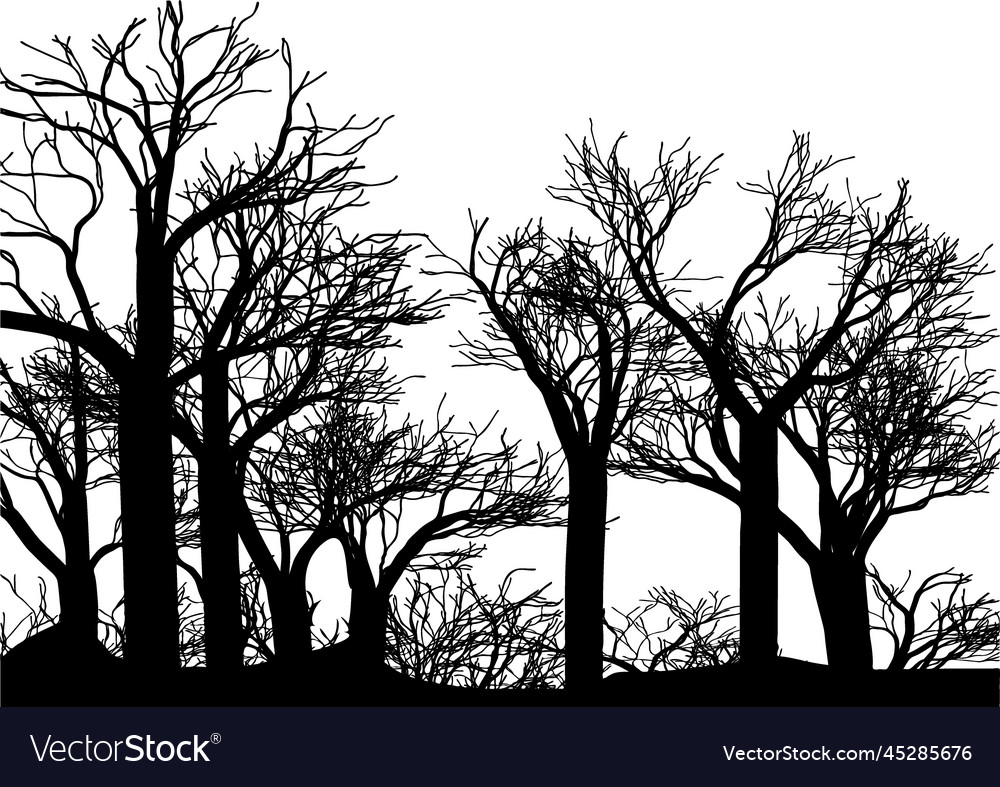 Forest Royalty Free Vector Image - VectorStock