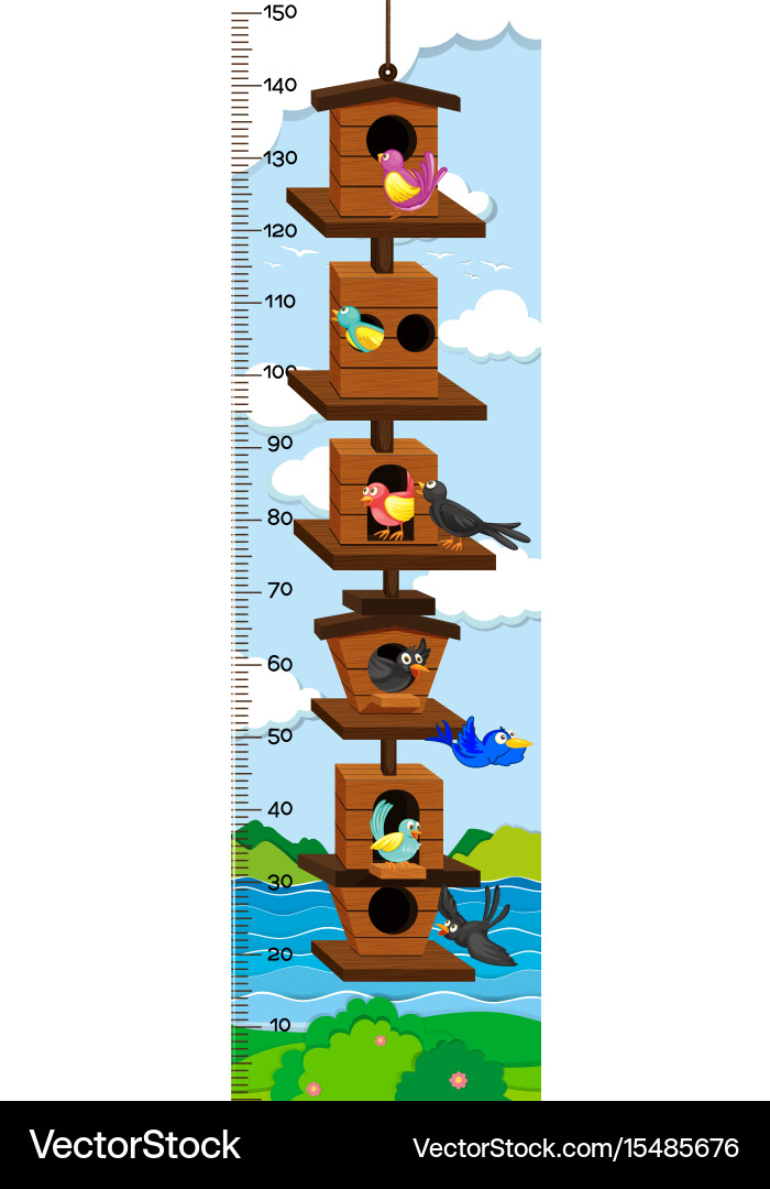 Growth mearsuring chart with birds in birdhouse Vector Image