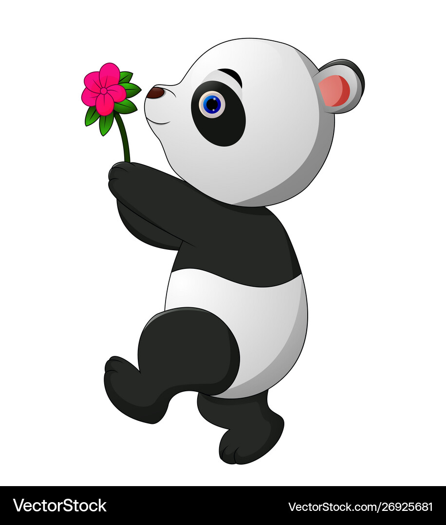 Cute panda bring a flowers Royalty Free Vector Image