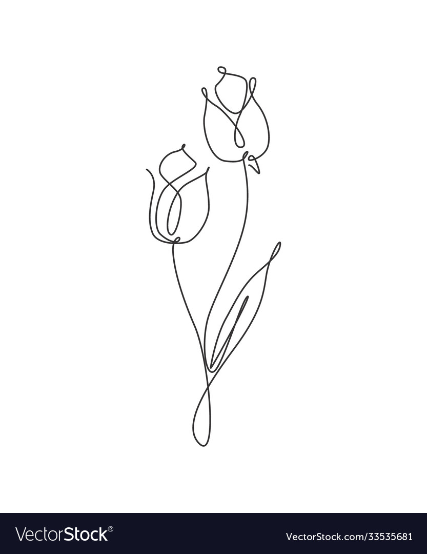 One Continuous Line Drawing Beautiful Abstract Vector Image