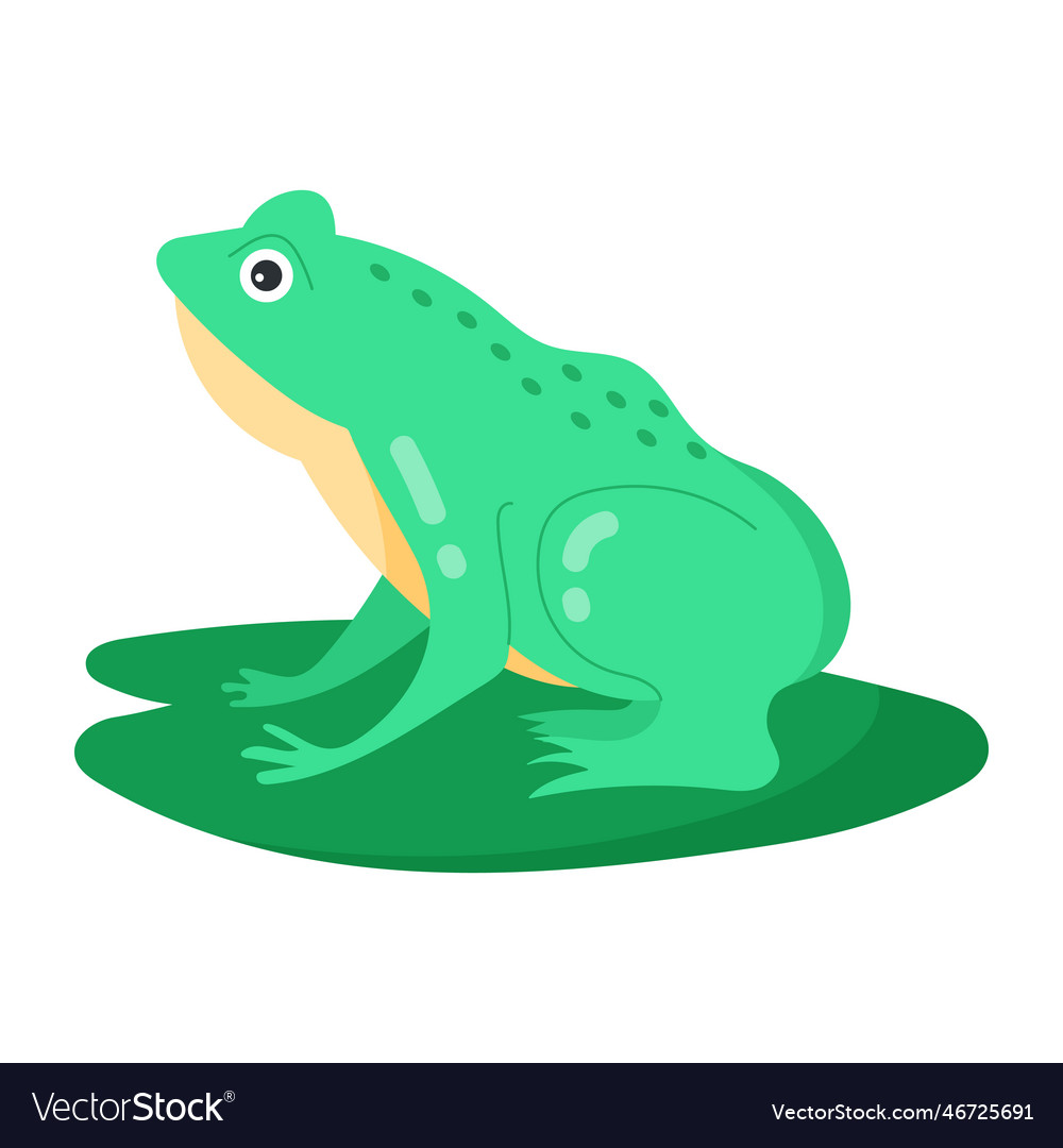 Frog Royalty Free Vector Image - VectorStock