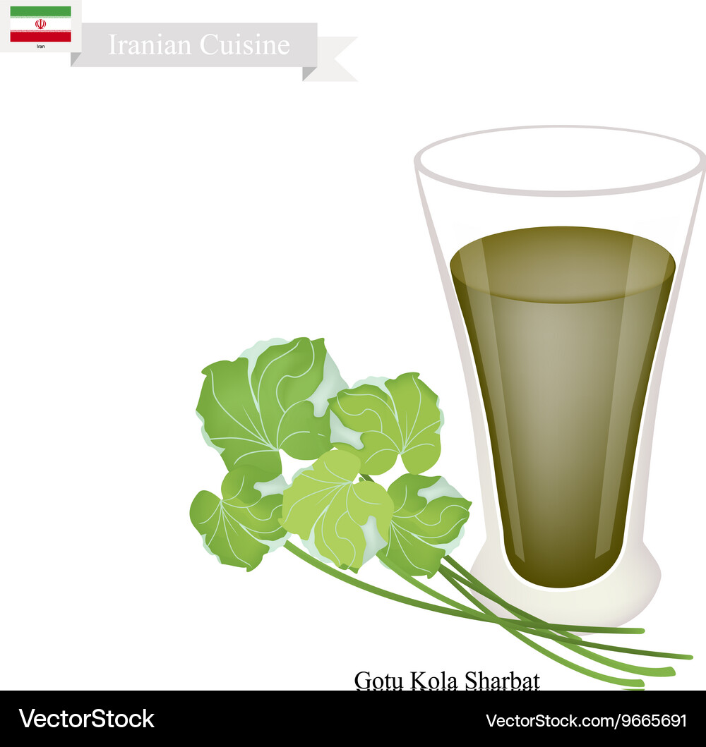 Gotu kola sharbat or iranian drink Royalty Free Vector Image