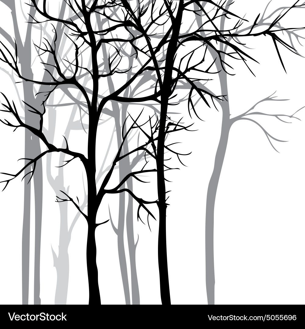 Background with trees Royalty Free Vector Image