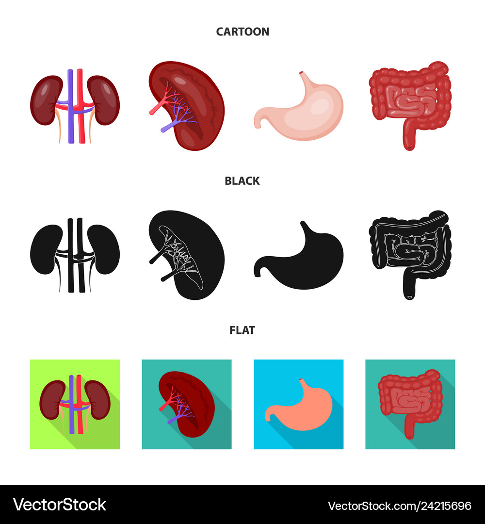 Biology and scientific sign Royalty Free Vector Image