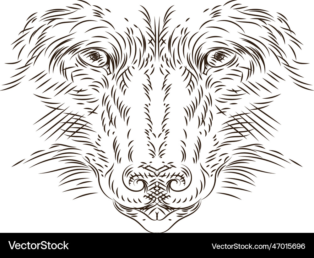 Engraving dog face drawn in outlines Royalty Free Vector
