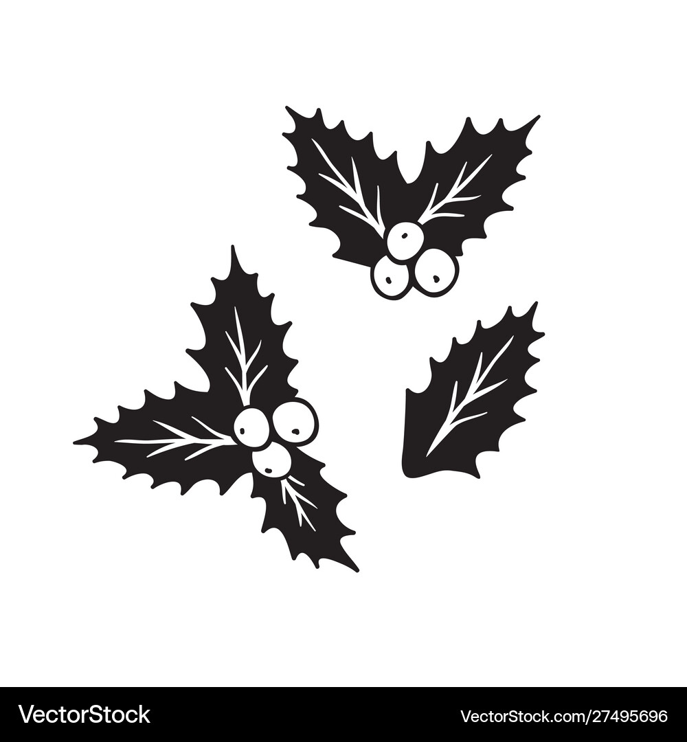Hand drawn christmas holly on white background Vector Image