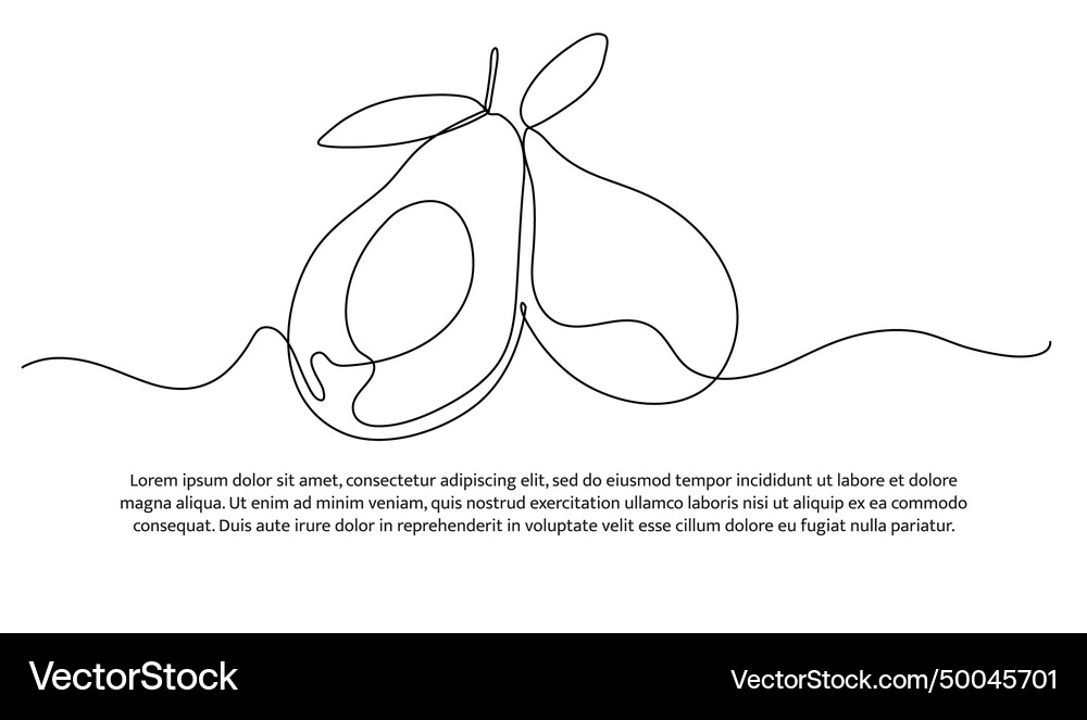 Avocado one continuous line design fruits symbol Vector Image