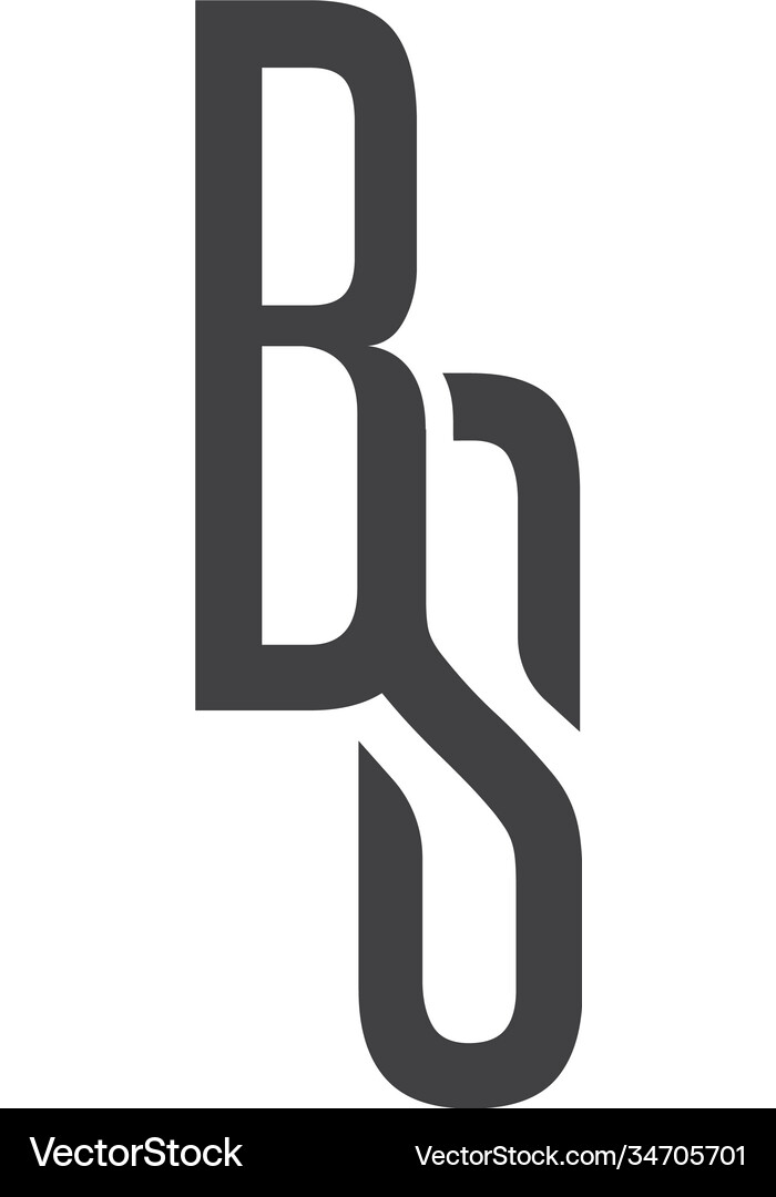 B s letter logo lettermark bs monogram elegant lux