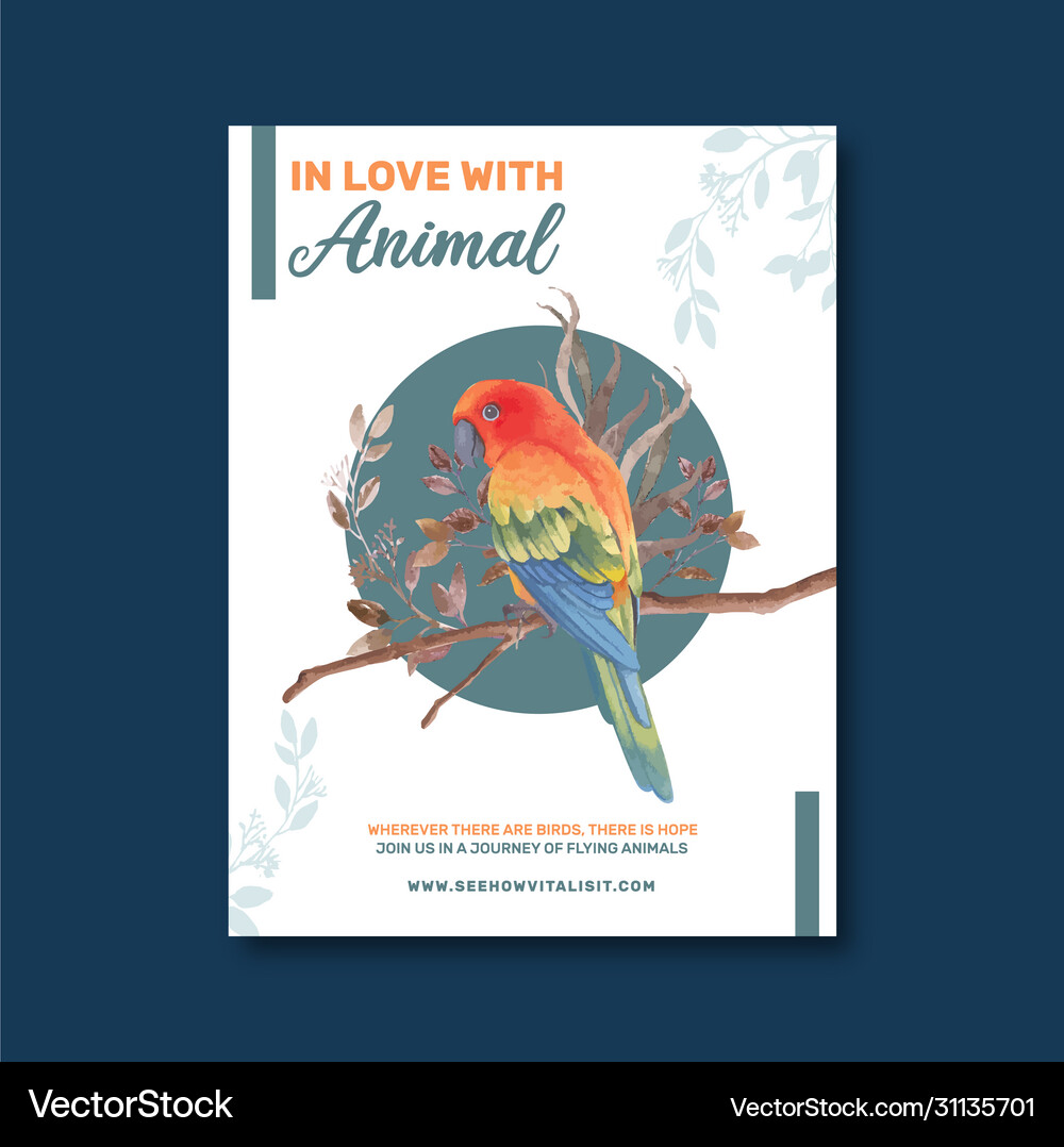 Insect and bird poster design with sun conure Vector Image