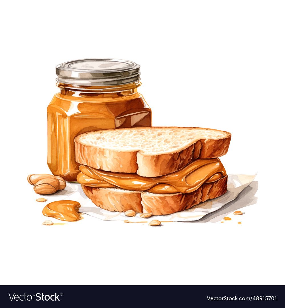 Peanut butter sandwich watercolor on white Vector Image