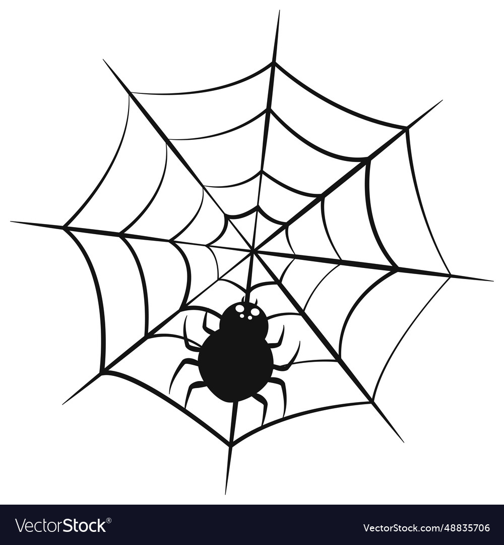 A spider sitting on its web Royalty Free Vector Image
