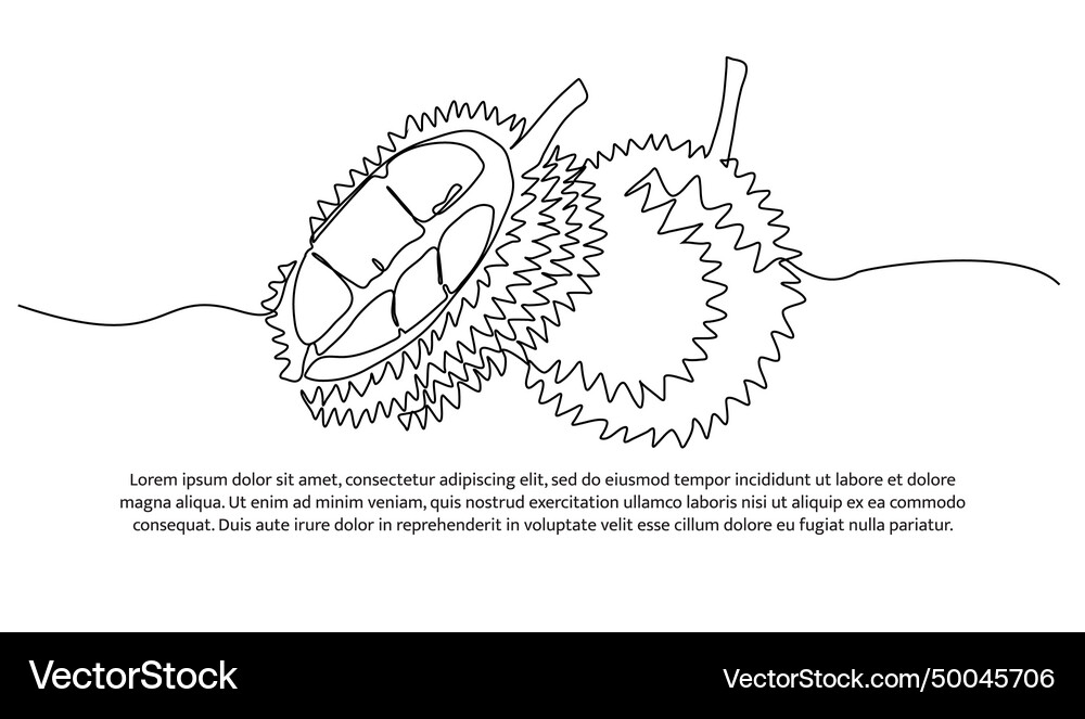 Durian one continuous line design fruits symbol Vector Image
