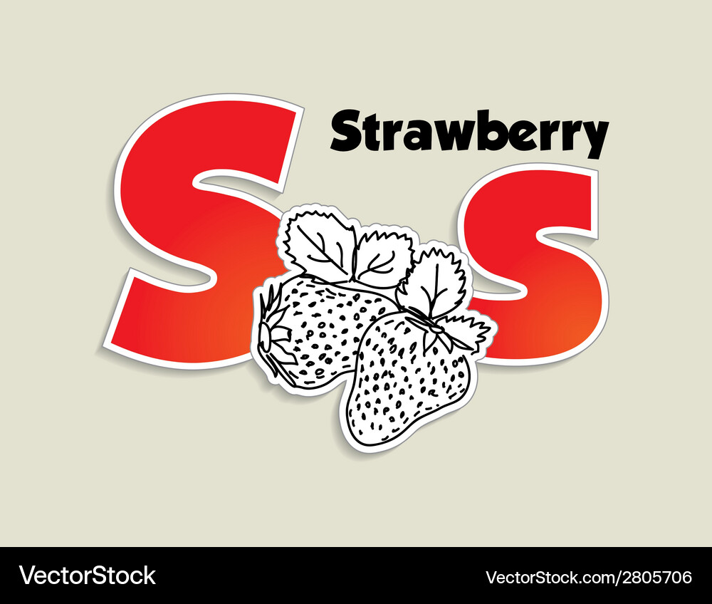 Fruits and vegetables alphabet - letter s Vector Image