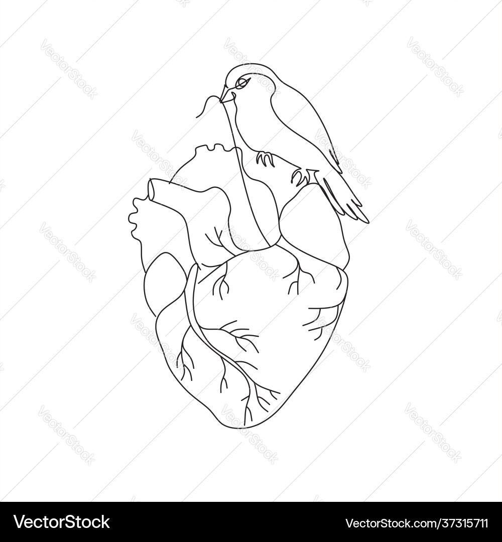 Bird sitting on a heart line Royalty Free Vector Image