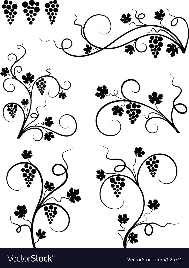 Grape design elements Royalty Free Vector Image