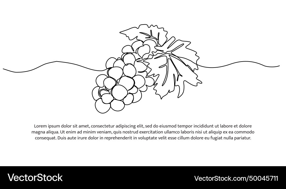 Grape one continuous line design fruits symbol Vector Image