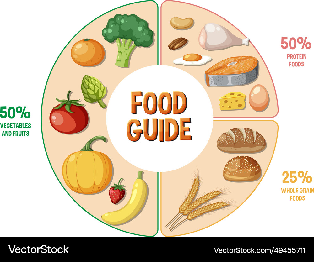 Macronutrient food guide circle of balanced Vector Image