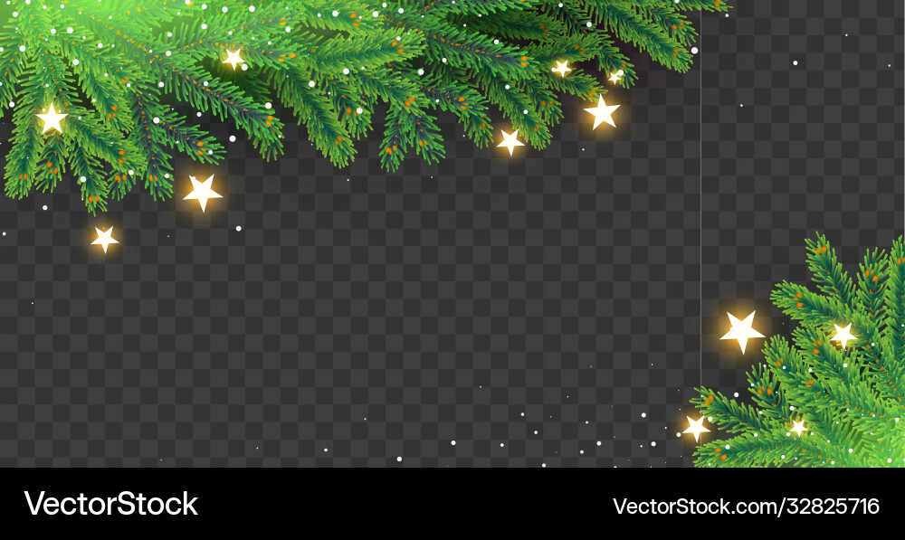 Christmas realistic fir tree branches stars Vector Image