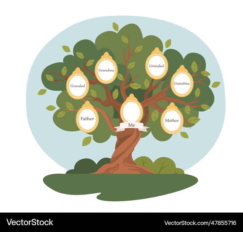 Family genealogy tree concept Royalty Free Vector Image