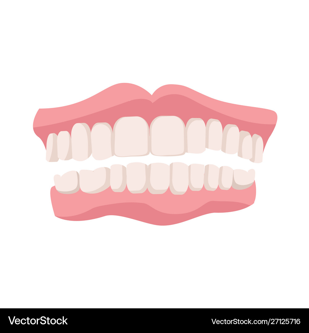 Realistic detailed 3d dentures on a white Vector Image