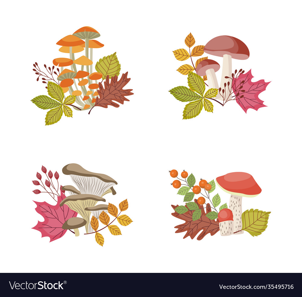 Set with forest mushrooms and autumn leaves flat Vector Image